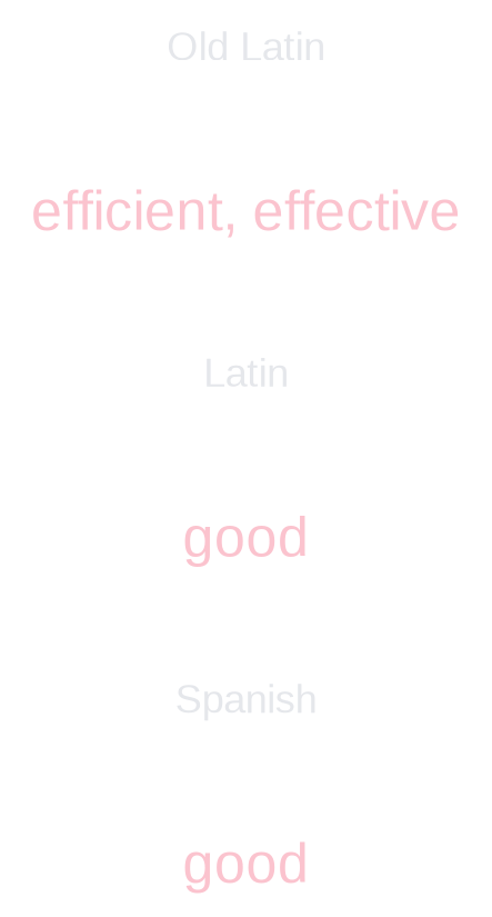Bueno Etymology for Spanish Learners