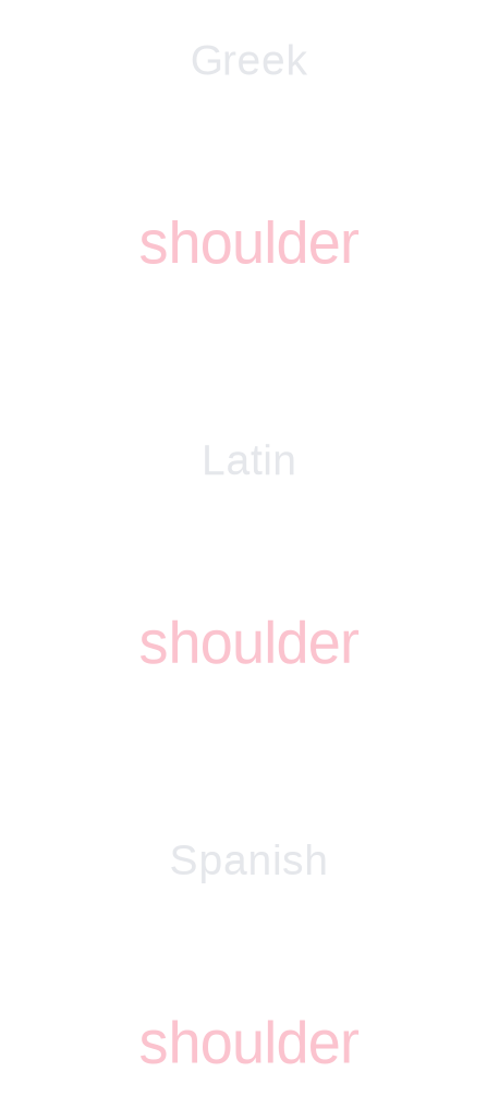 Hombro Etymology for Spanish Learners
