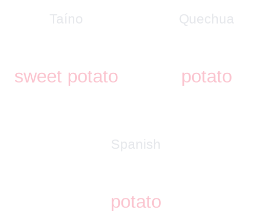 Patata Etymology for Spanish Learners