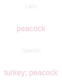 Pavo Etymology for Spanish Learners