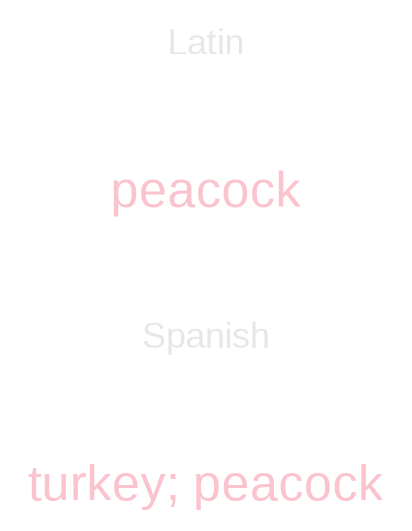 Pavo Etymology for Spanish Learners