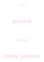 Pavo Etymology for Spanish Learners