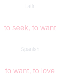 Querer Etymology for Spanish Learners