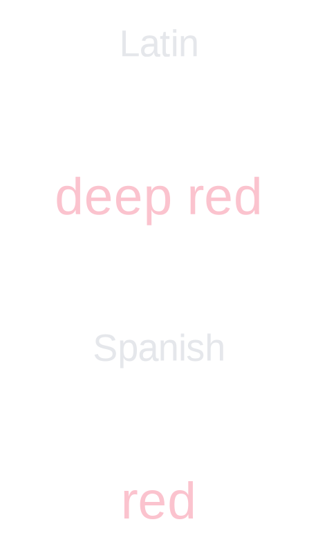Rojo Etymology for Spanish Learners