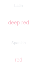 Rojo Etymology for Spanish Learners
