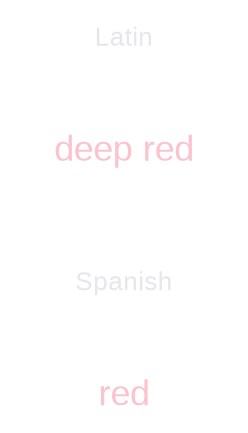 Rojo Etymology for Spanish Learners