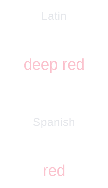 Rojo Etymology for Spanish Learners