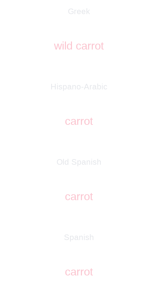 Zanahoria Etymology for Spanish Learners