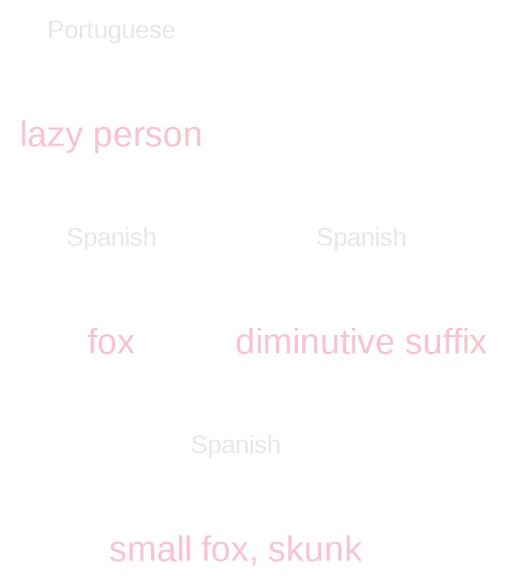 Zorrillo Etymology for Spanish Learners